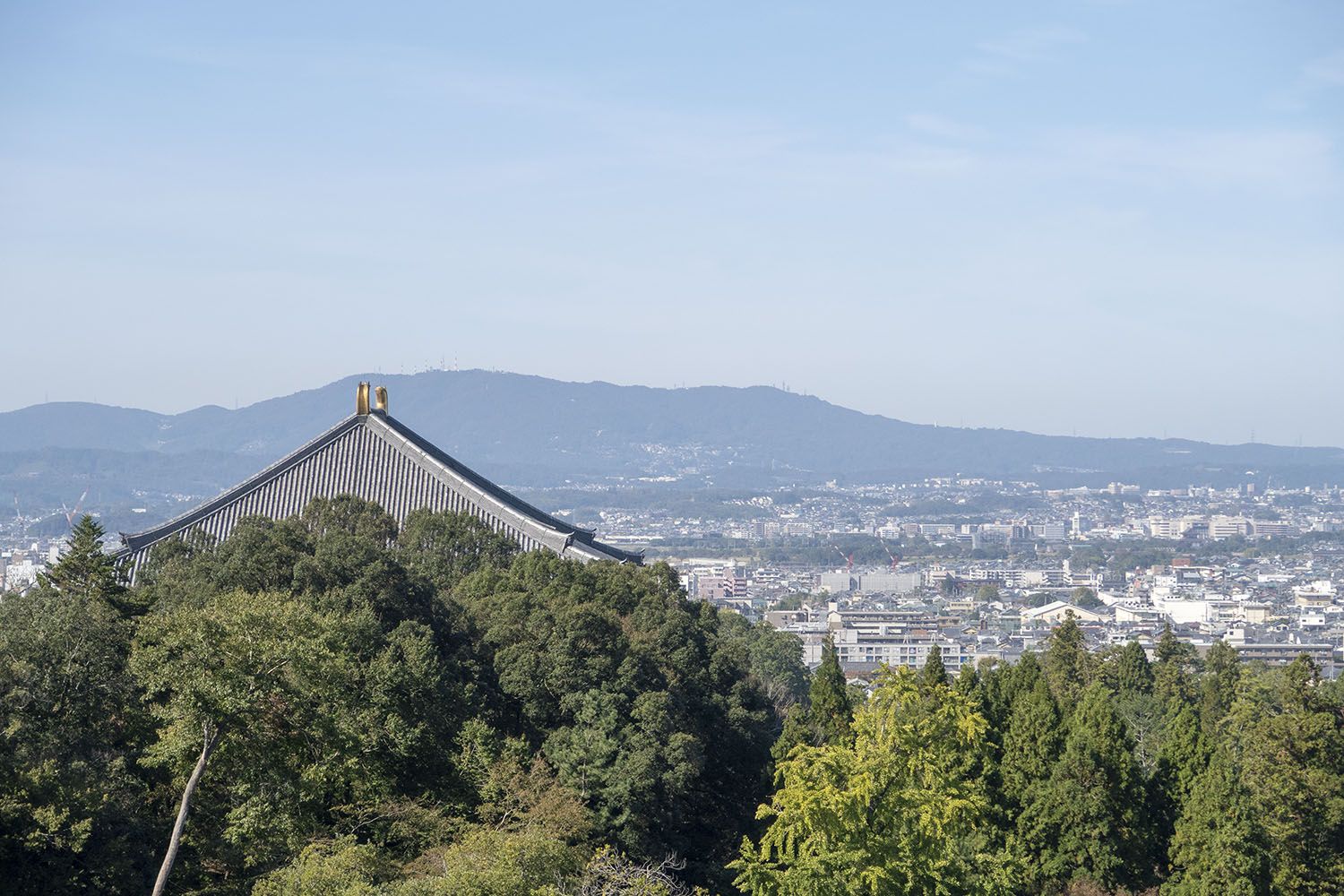 Qué ver en Nara en 1 día | Guía Itinerario Mapa