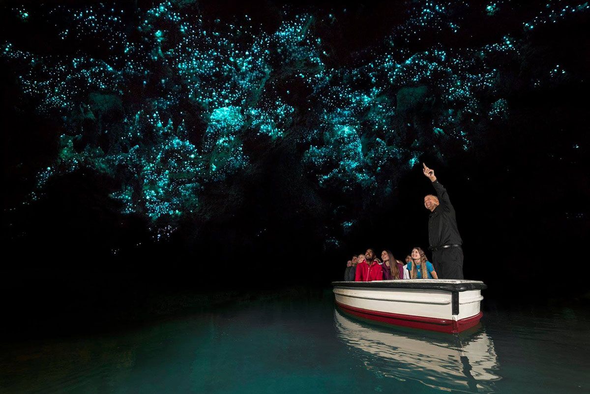 Visitar Waitomo Caves: precios, cómo llegar y consejos