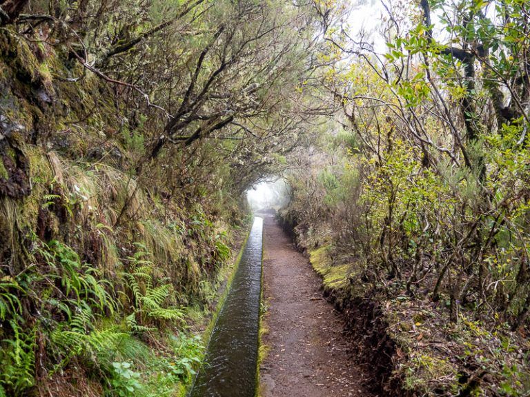 Las 10 MEJORES levadas de Madeira: mapa + info rutas