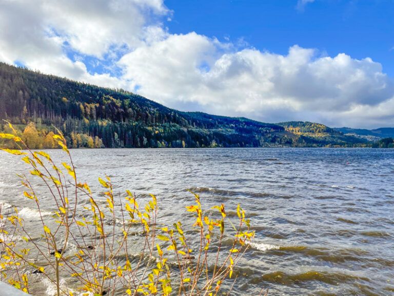 24 cosas que ver en la Selva Negra Itinerarios Mapas