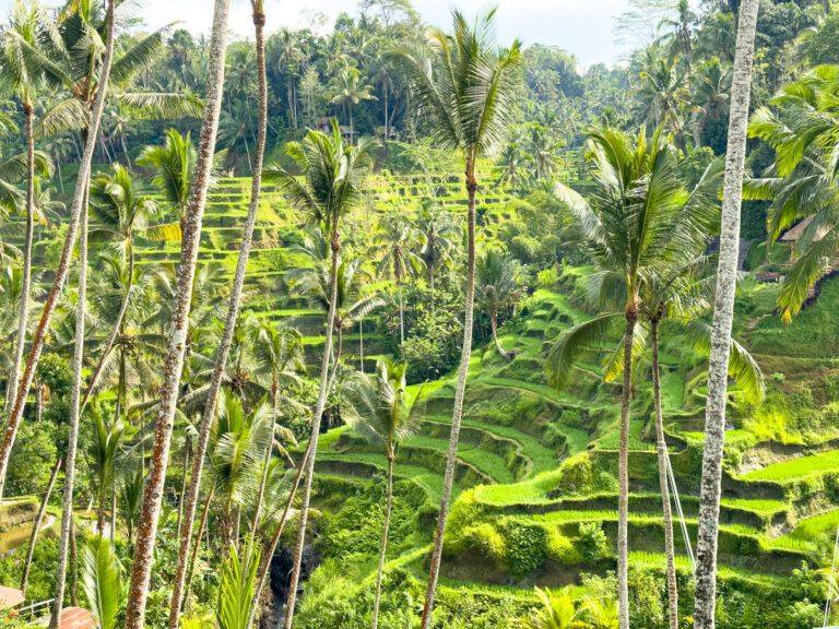 Requisitos para viajar a Bali en 2026 ⚠️ QUÉ debes saber
