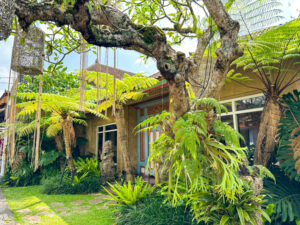 Qué ver en Ubud: 15 imprescindibles Itinerarios Mapa