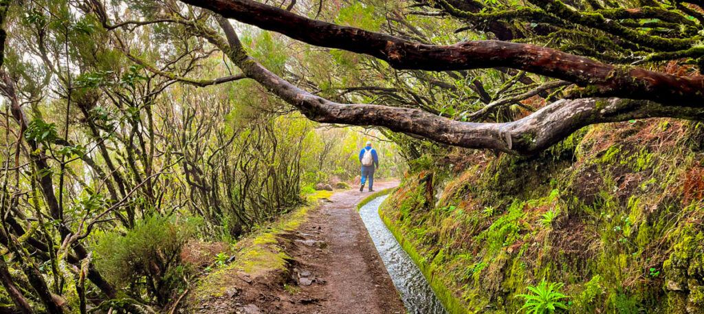 Las 10 MEJORES levadas de Madeira | Mapa + info rutas