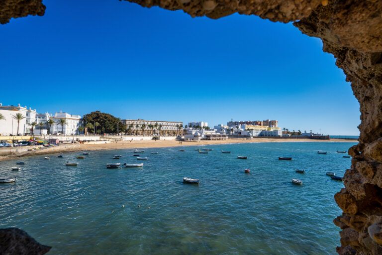Playas para perros en Cádiz 2026 ⚠️ 8 MEJORES